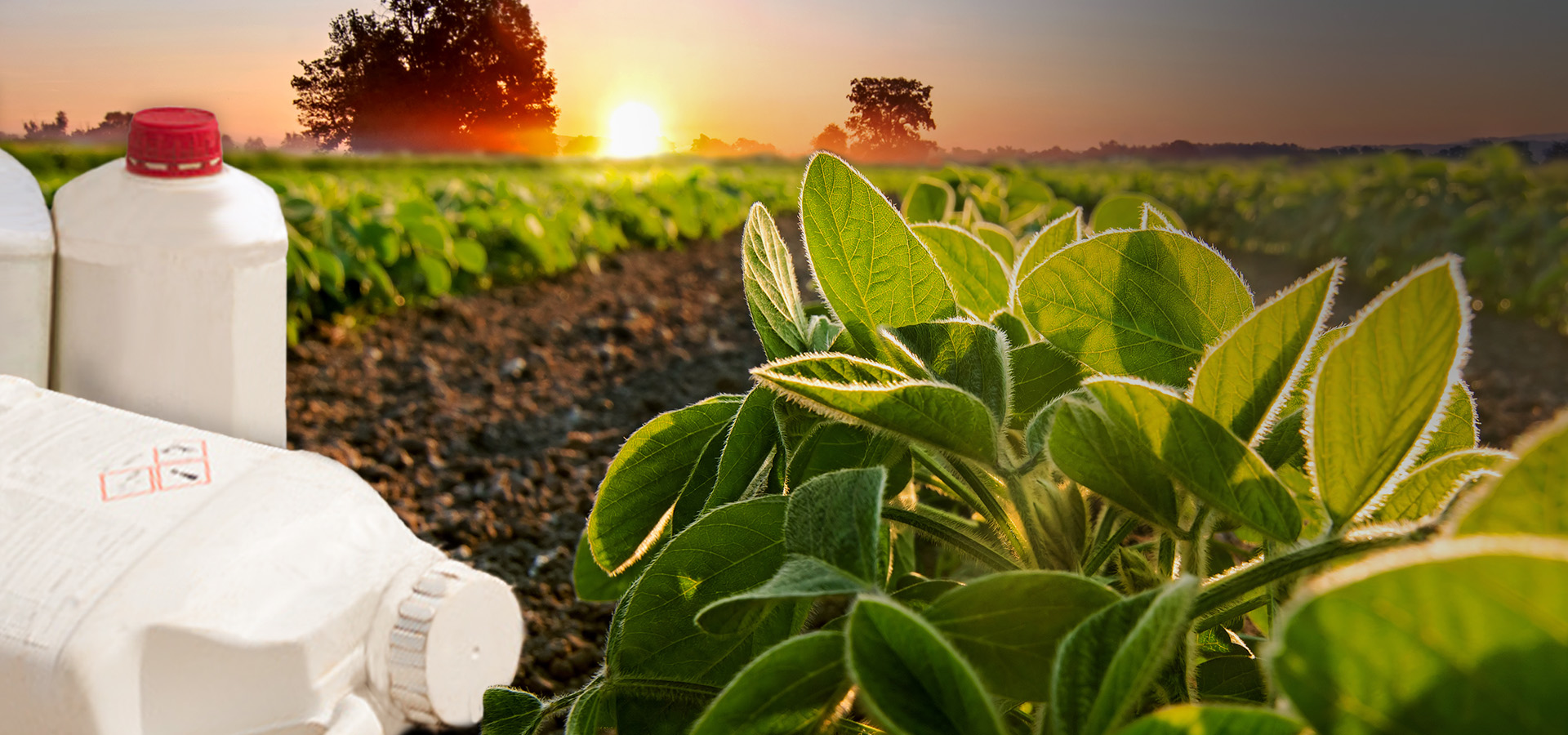 Campanha de recolhimento de embalagens de agrotóxicos Olfar