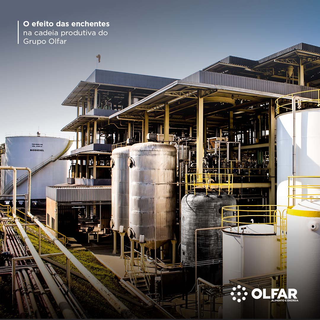 O efeito das enchentes na cadeia produtiva do Grupo Olfar