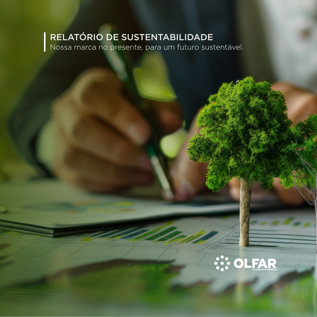 Olfar publica o Relatório de Sustentabilidade 2024 - Olfar